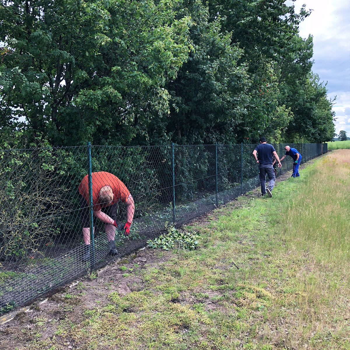 Arbeitseinsatz Im Brande - MTV Langlingen